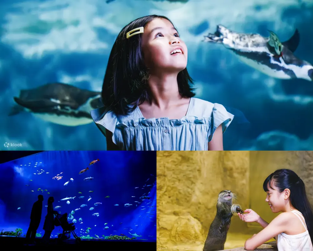 【沖繩親子景點推薦2025】遛小孩必去!室內戶外親子遊